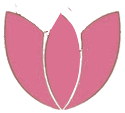 Health & Wellness – Enjoy The Best Doula Services and Care